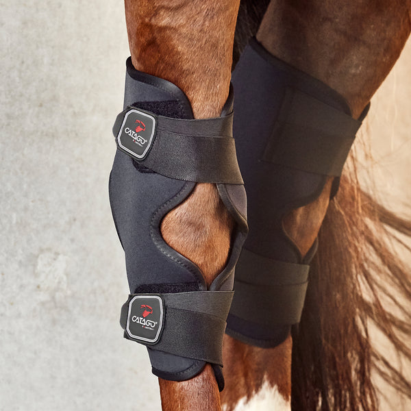 Catago FIR-Tech Hock Boots – DiClass Equine